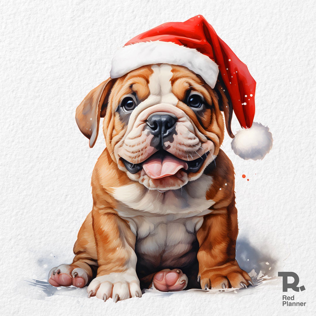 Watercolor Bulldog Clipart Bundle 5 PNG Christmas Dog Santa Hat | Card ...