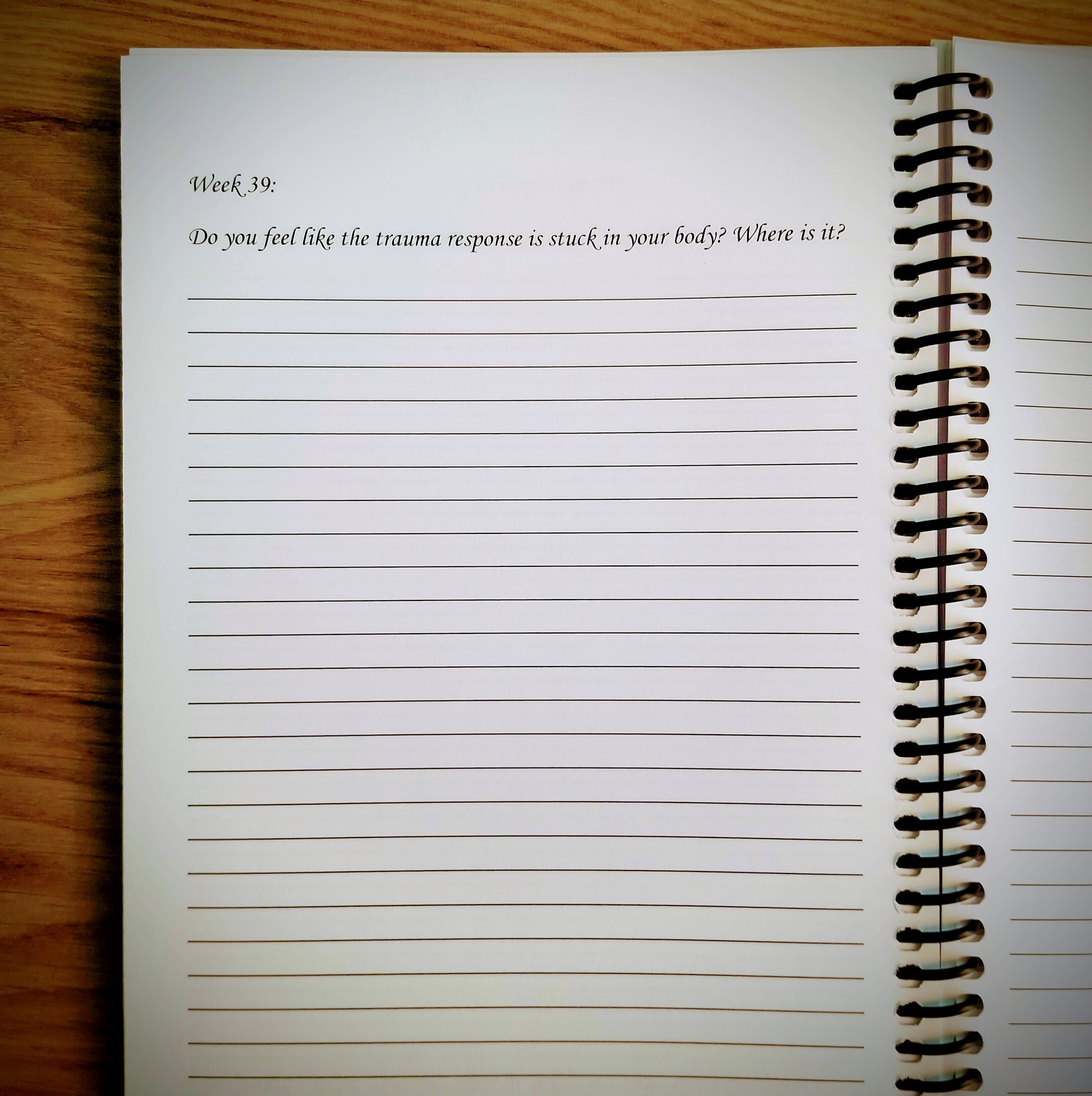 A Guided Journal to Heal From Trauma, Trauma Survivor Gift, Trauma ...