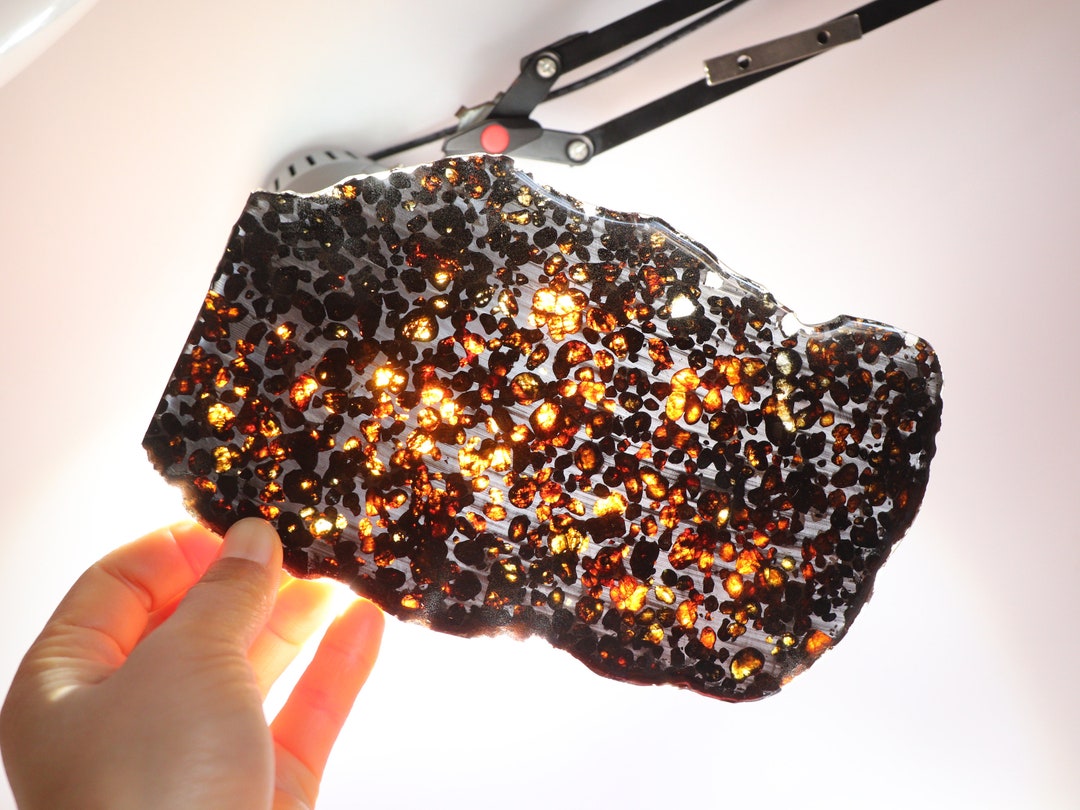 276g Sericho Pallasite Meteorite Slicenatural Meteorite From Kenya ...