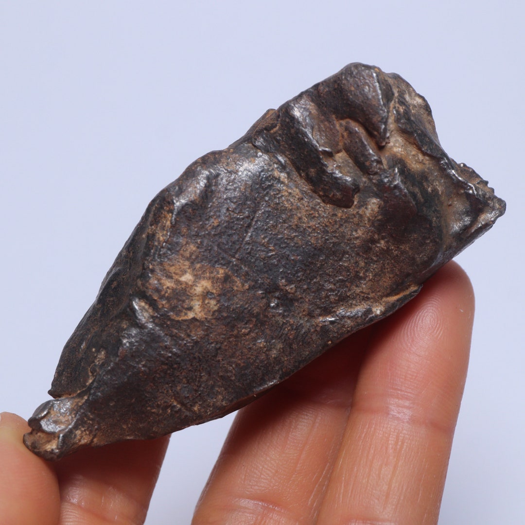 171g Gebel Kamil Meteorite, Ungrouped Ironegypt, Iron Meteorite, Collectionastronomy Gift K0389 ...