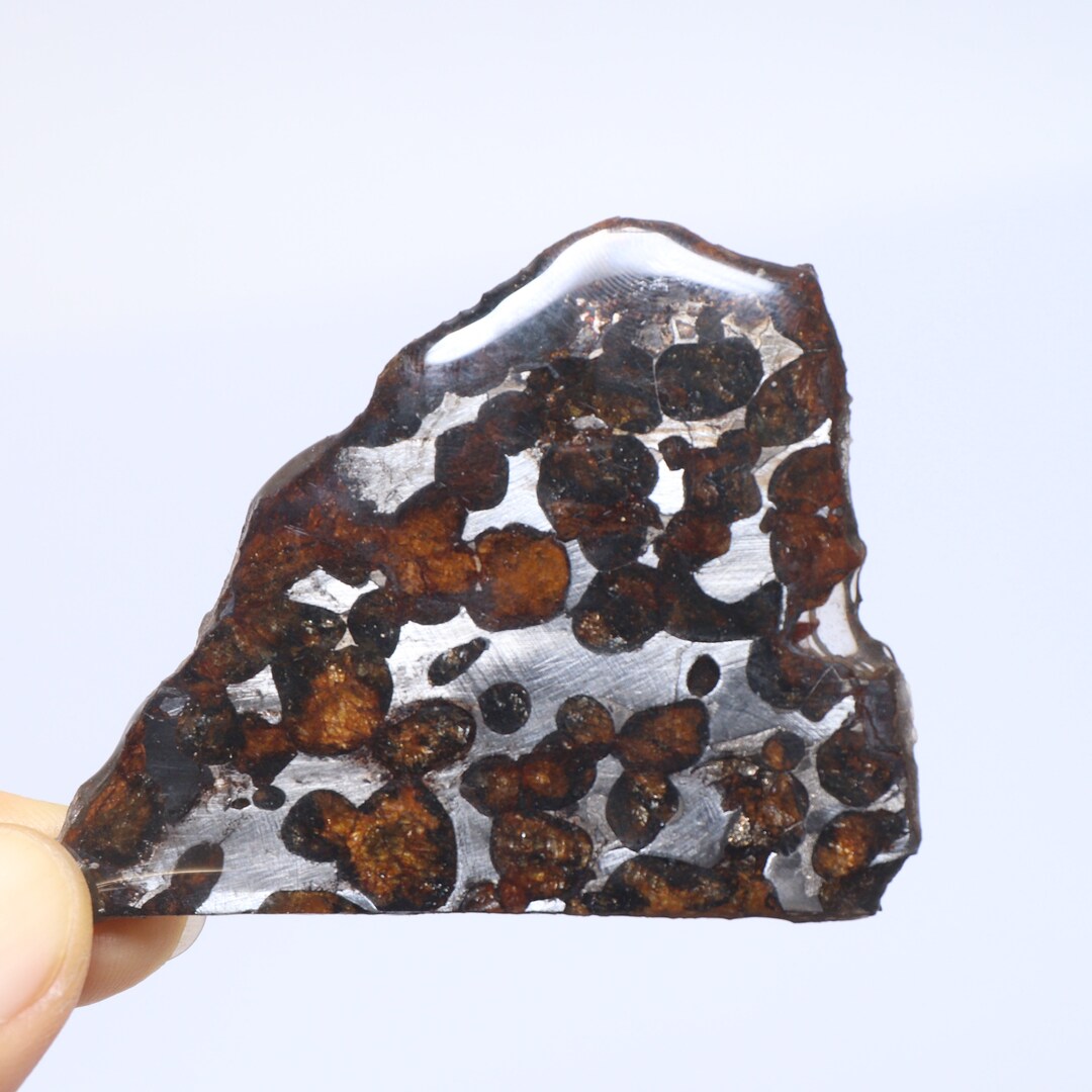 29g Rare Slice Olive Meteorites From Kenya Serichonatural - Etsy