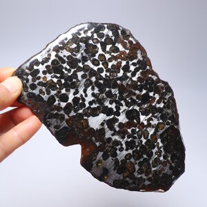 154g Sericho Pallasite Meteorite Slicenatural Meteorite From Kenya ...