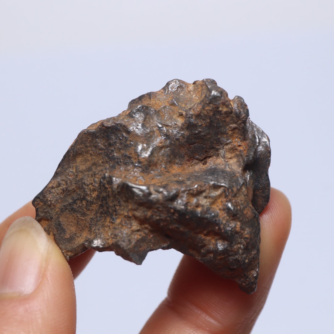 51g Gebel Kamil Meteorite, Ungrouped Ironegypt, Iron Meteorite ...