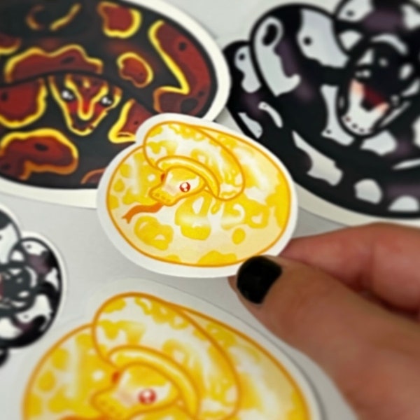 Albino Snake - Etsy