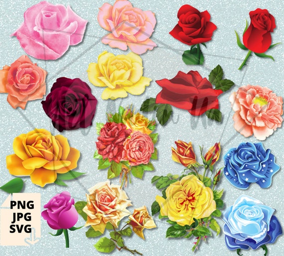 ROSE SVG Bundle ROSES Svg Bundle Colored Rose Clipart - Etsy