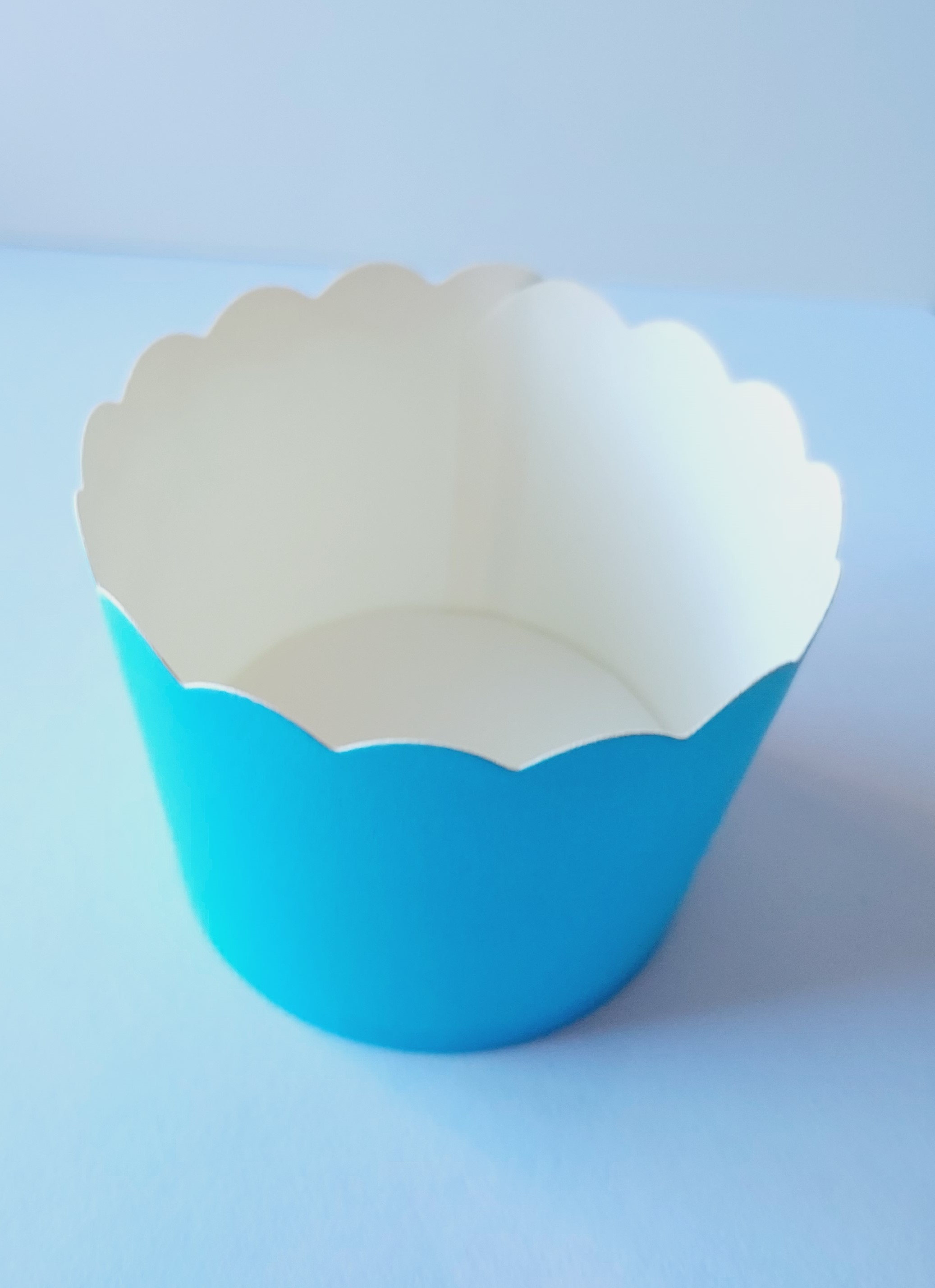 12 Blue Cupcake Wrappers for Your Birthday Party, Birhday Party ...
