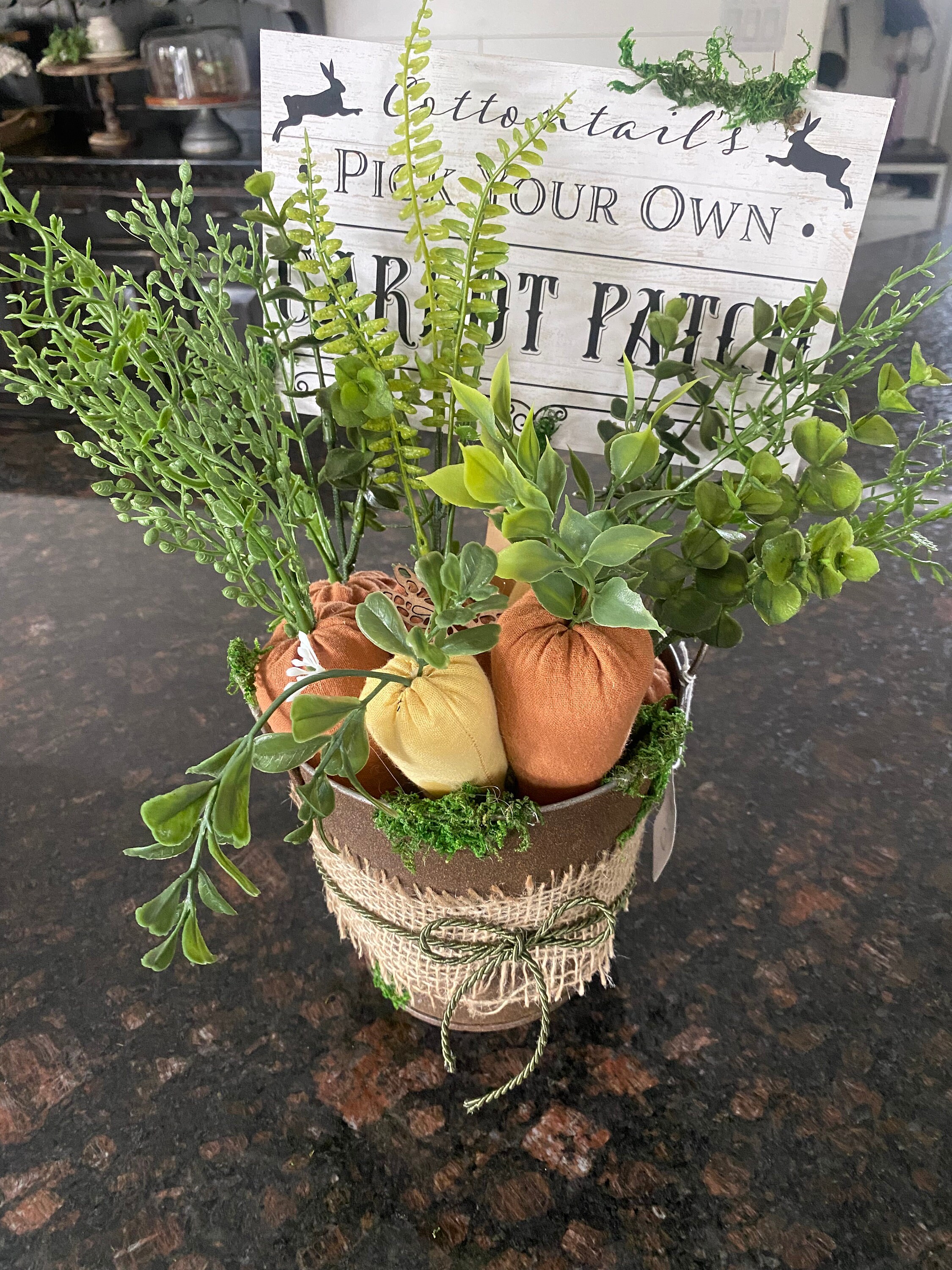 Adorable Carrot Patch - Etsy