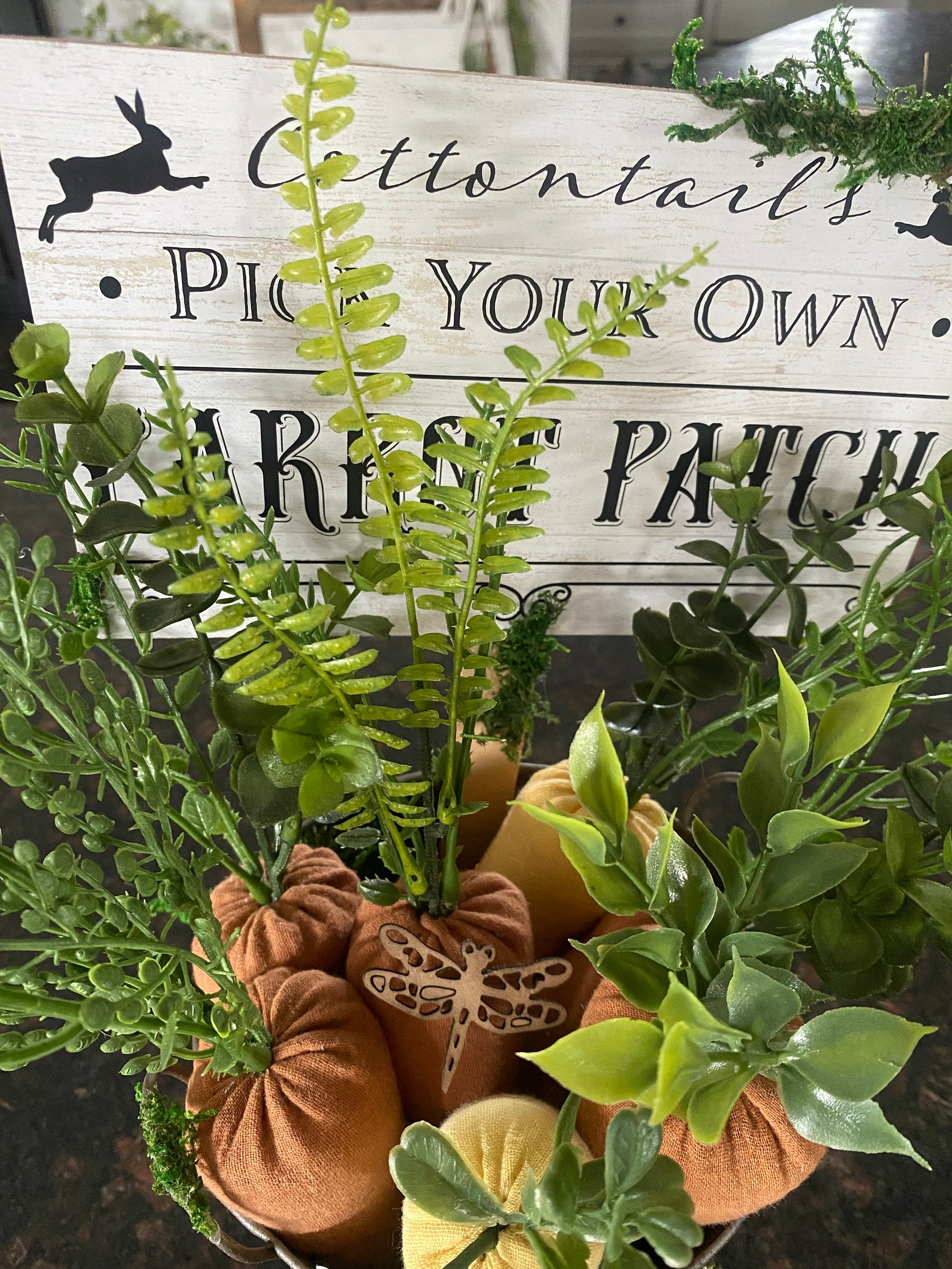 Adorable Carrot Patch - Etsy