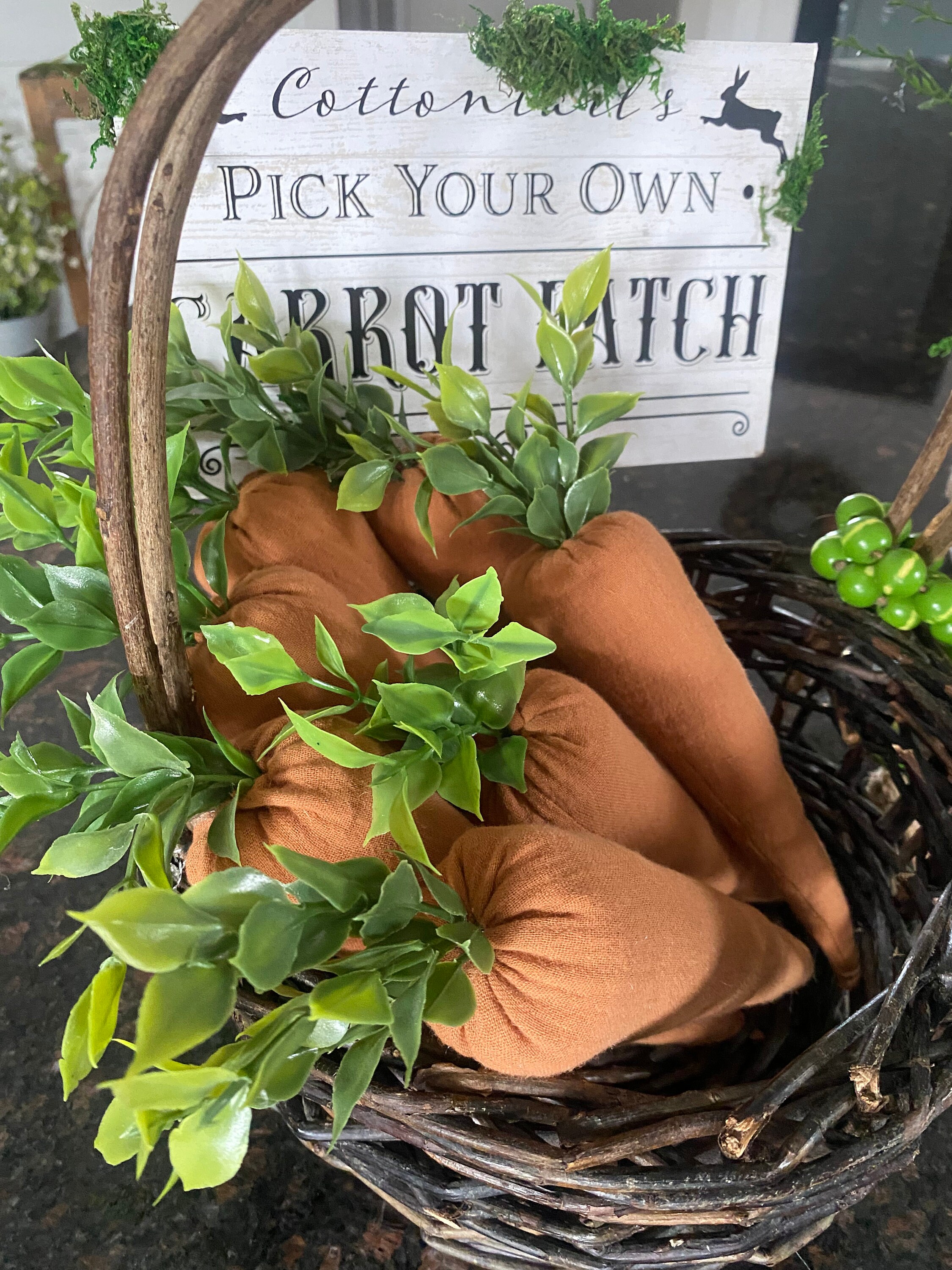 Adorable Carrot Patch - Etsy