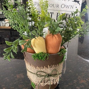 Adorable Carrot Patch - Etsy