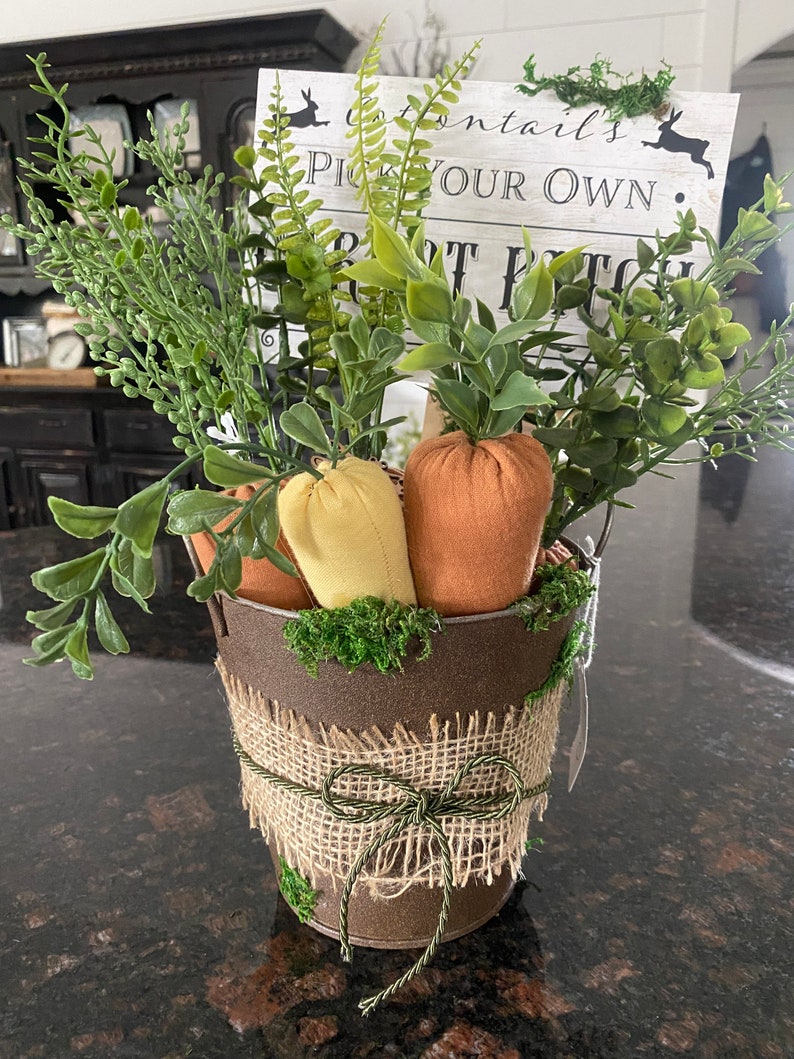 Adorable Carrot Patch - Etsy