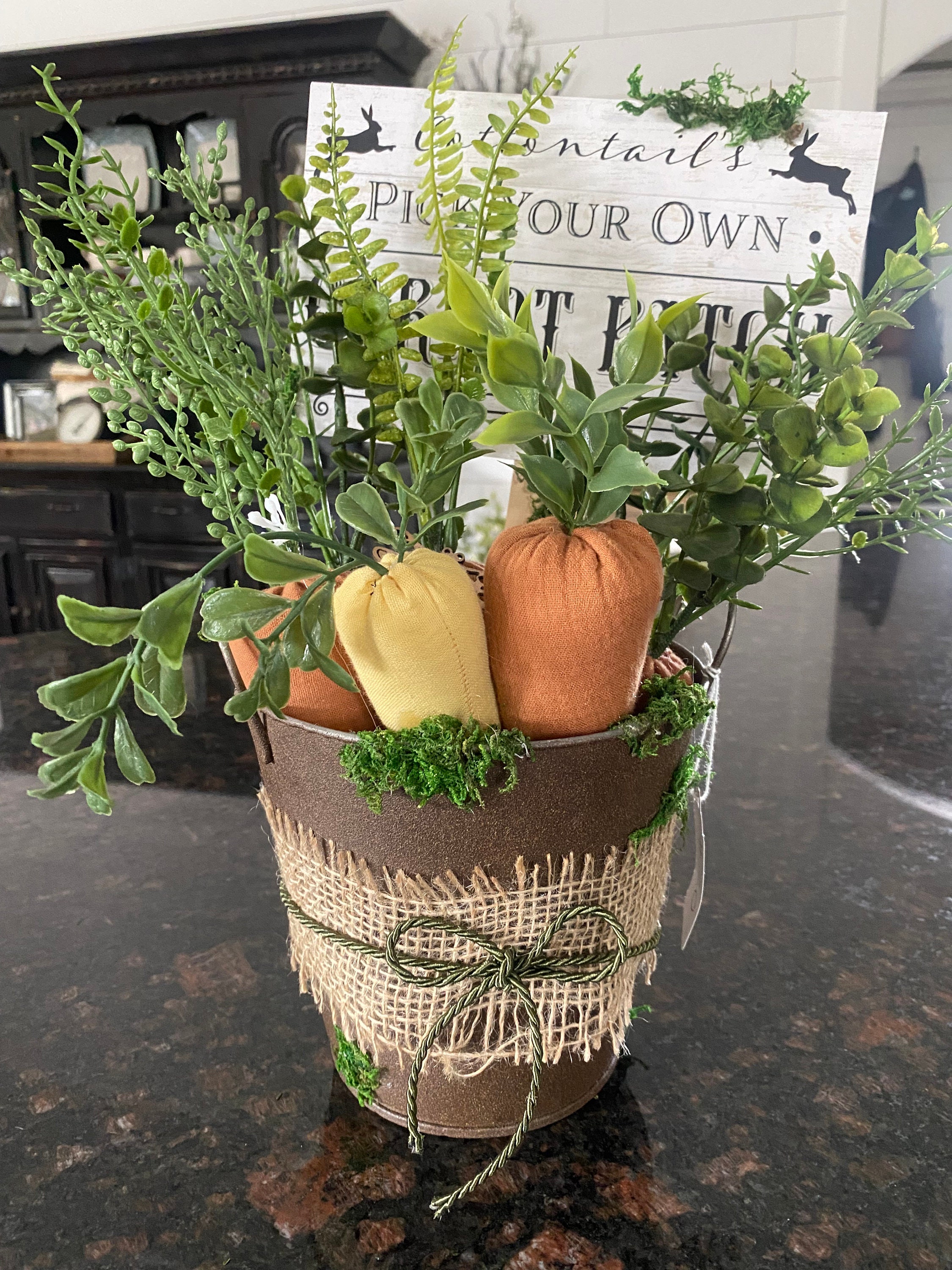 Adorable Carrot Patch - Etsy