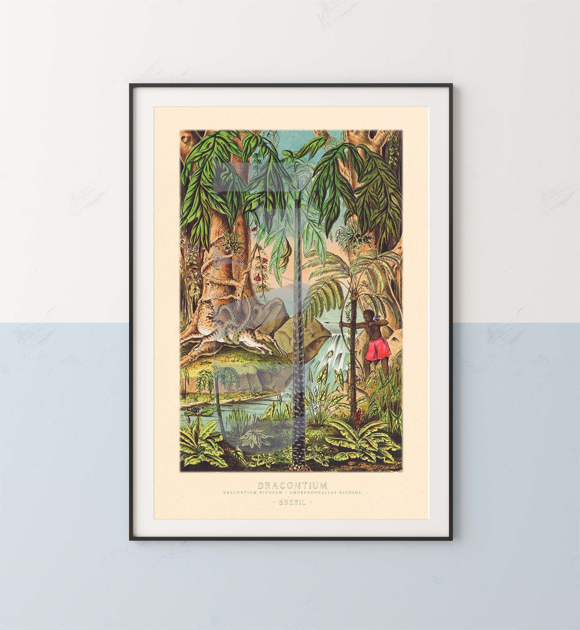 Antique Jungle Botanical Art Print. Amazon Rainforest Historical Art ...