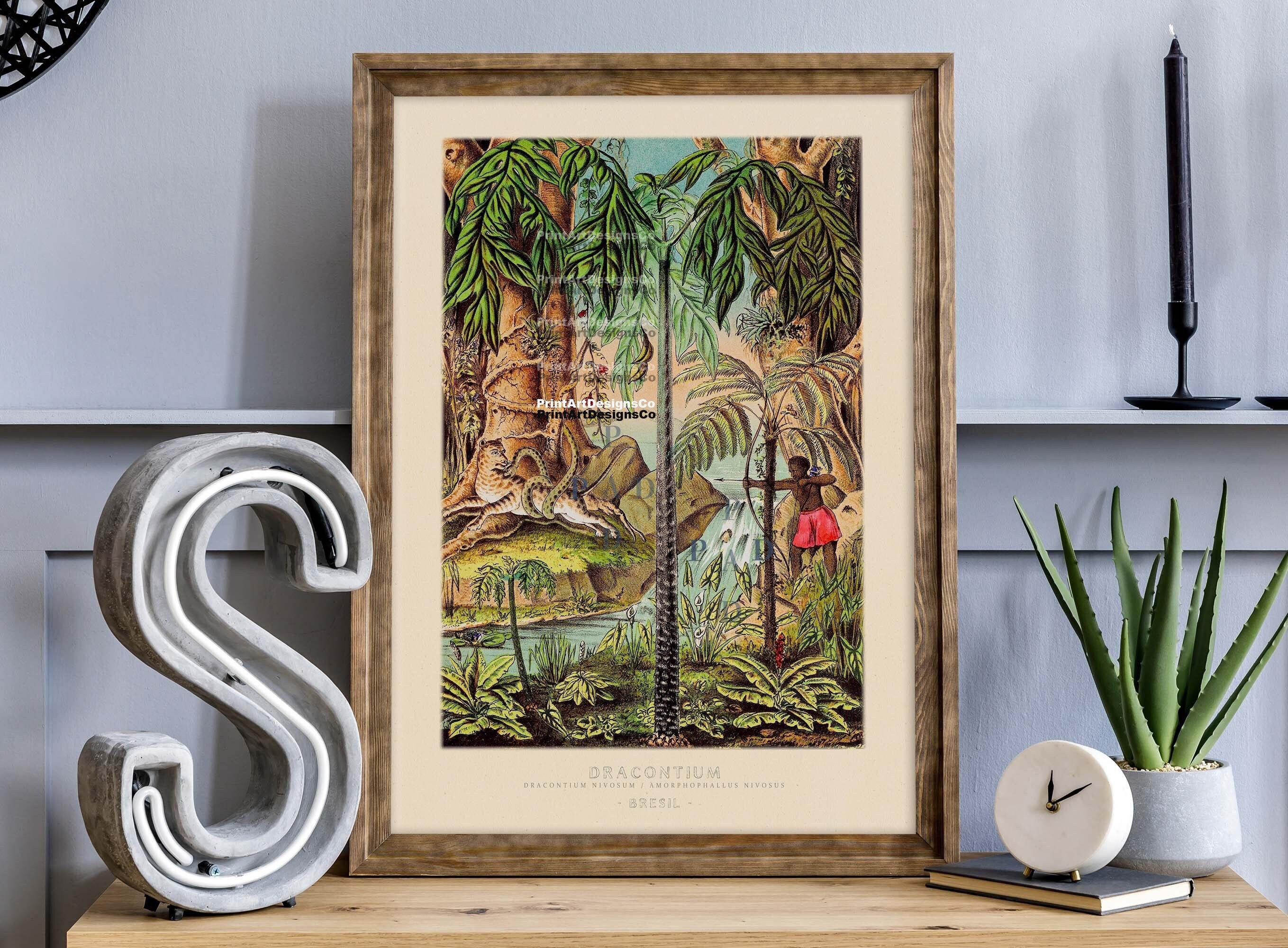 Antique Jungle Botanical Art Print. Amazon Rainforest Historical Art ...