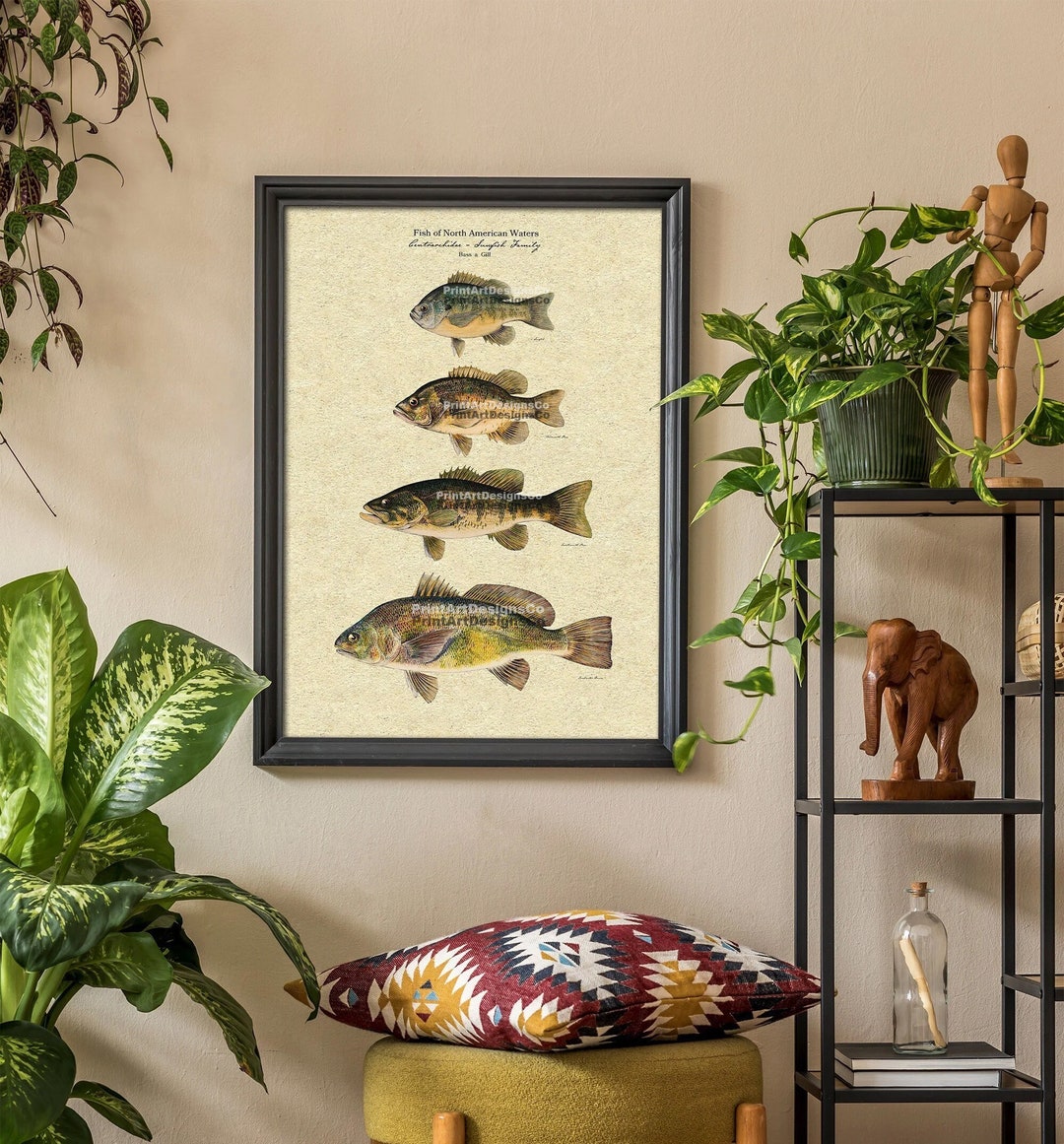American Game Fish Poster – Detailed Bass and Bluegill Art for Nature ...