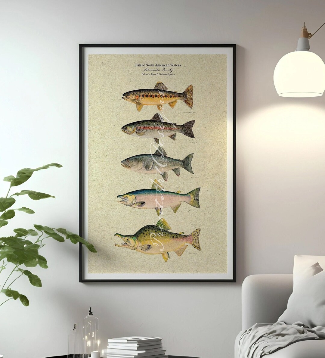 Vintage Fishing Poster. Blueback Salmon. Humpback Salmon.lake Trout ...