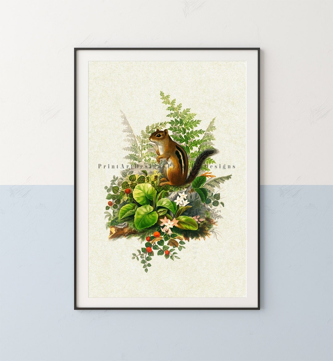 Chipmunk Print. Woodland Animal Print. Vintage Chipmunk Wall Art ...