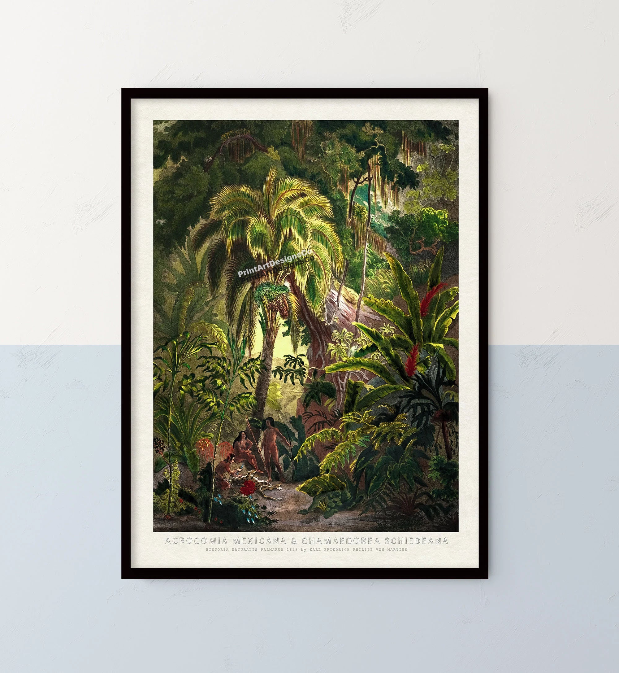 Vintage Tropical Landscape Print. Antique Jungle Rainforest - Etsy