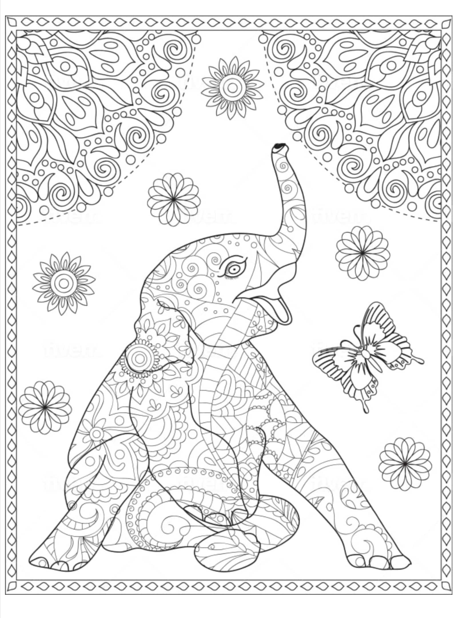 Detailed Coloring Pages - Etsy