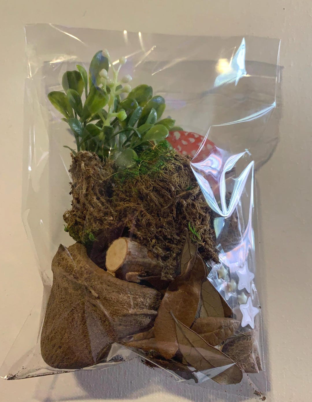 Velvet Spider Enclosure Decorations Natural Materials OOAK Spiders ...