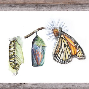 Birth Month Flower Celebration Calendar Desk Calendar Floral Perpetual ...