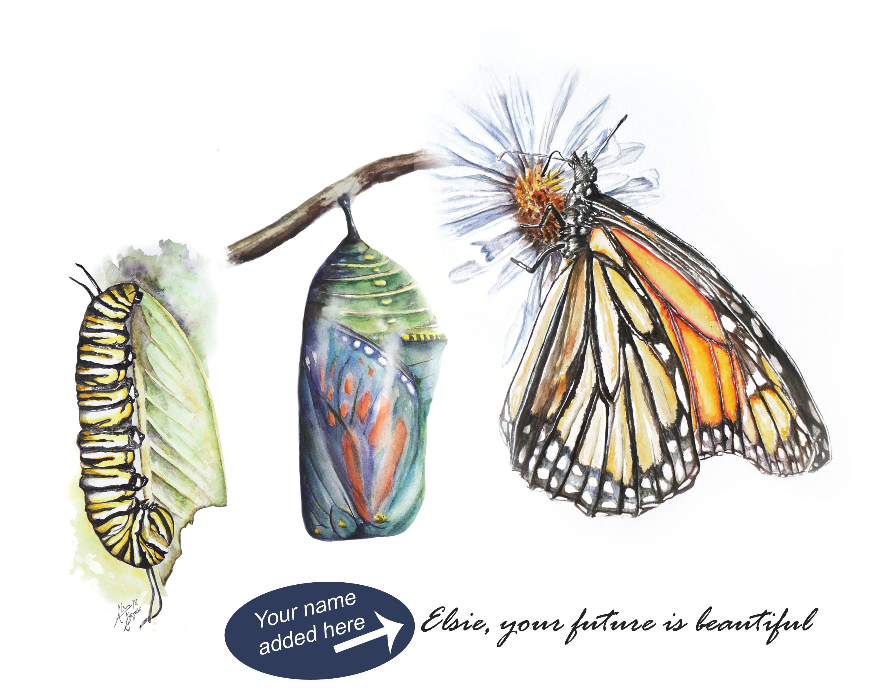 Custom Name Monarch Butterfly Wall Art~ Personalized Caterpillar ...