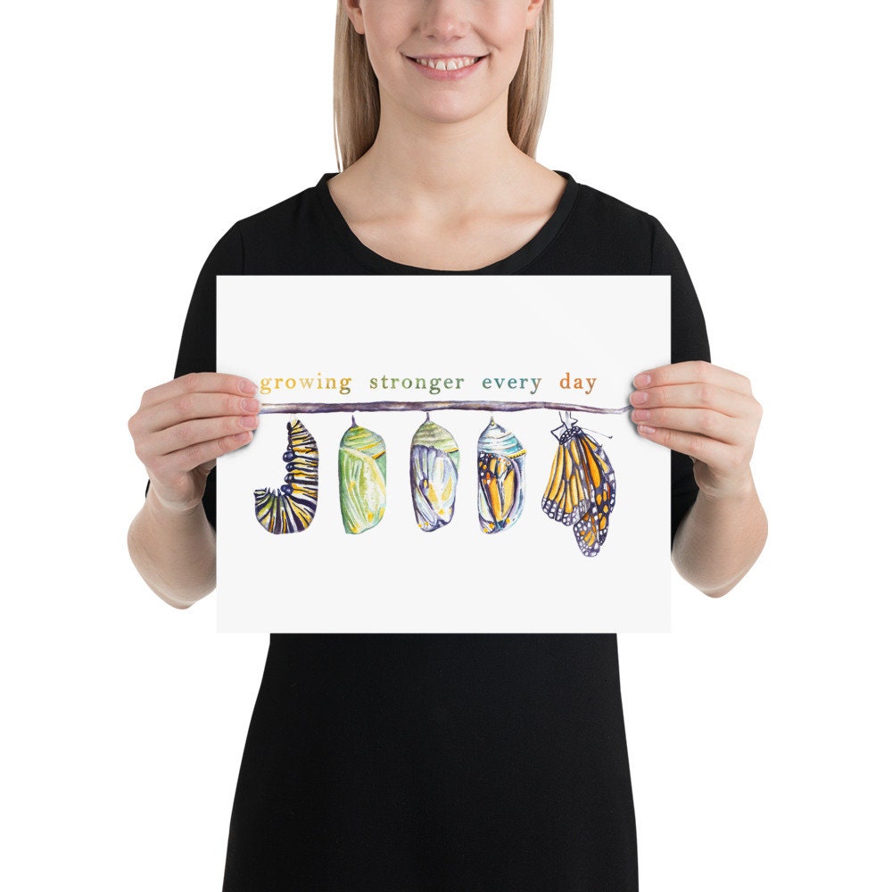 Monarch Metamorphosis Wall Art: Caterpillar Chrysalis, Butterfly ...