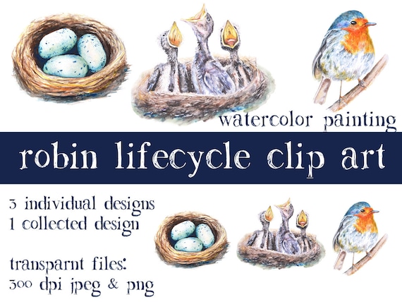 Robin Egg Clipart