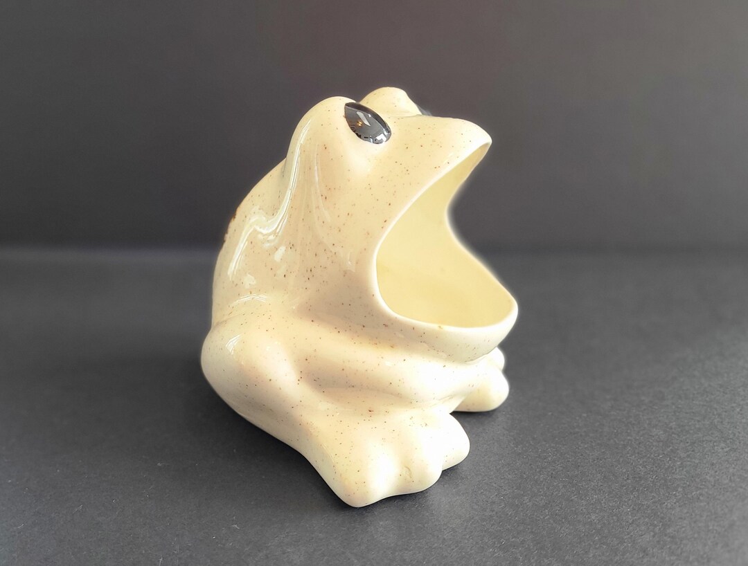 Sponge Frog | Scrubby Holder | Retro Kitchen | Kitsch | Big Mouth Frog ...