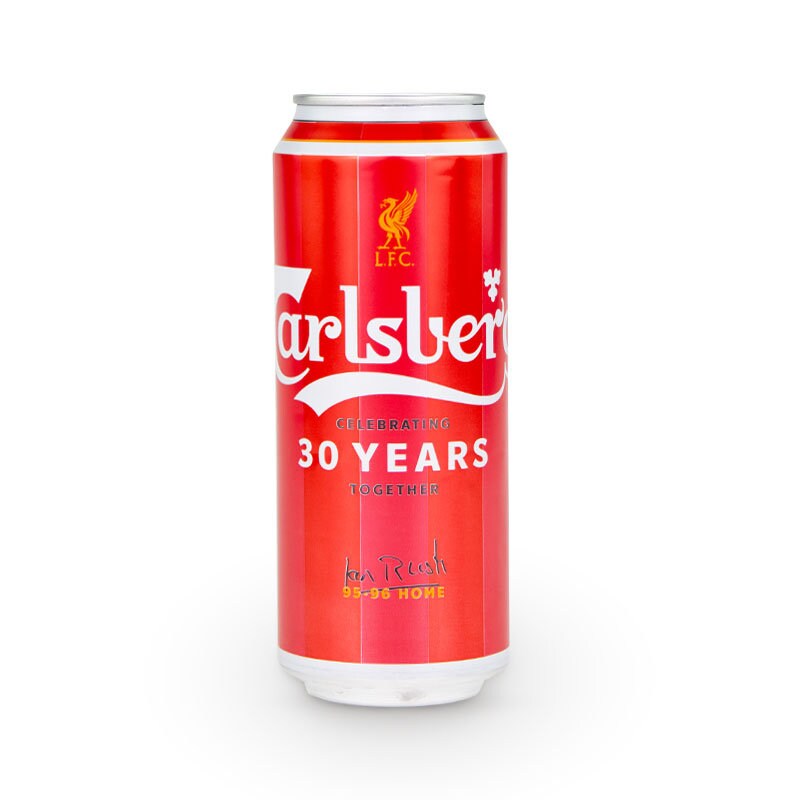 Diversion Safe Carlsberg Fake Stash Can Hidden Secret Storage - Etsy