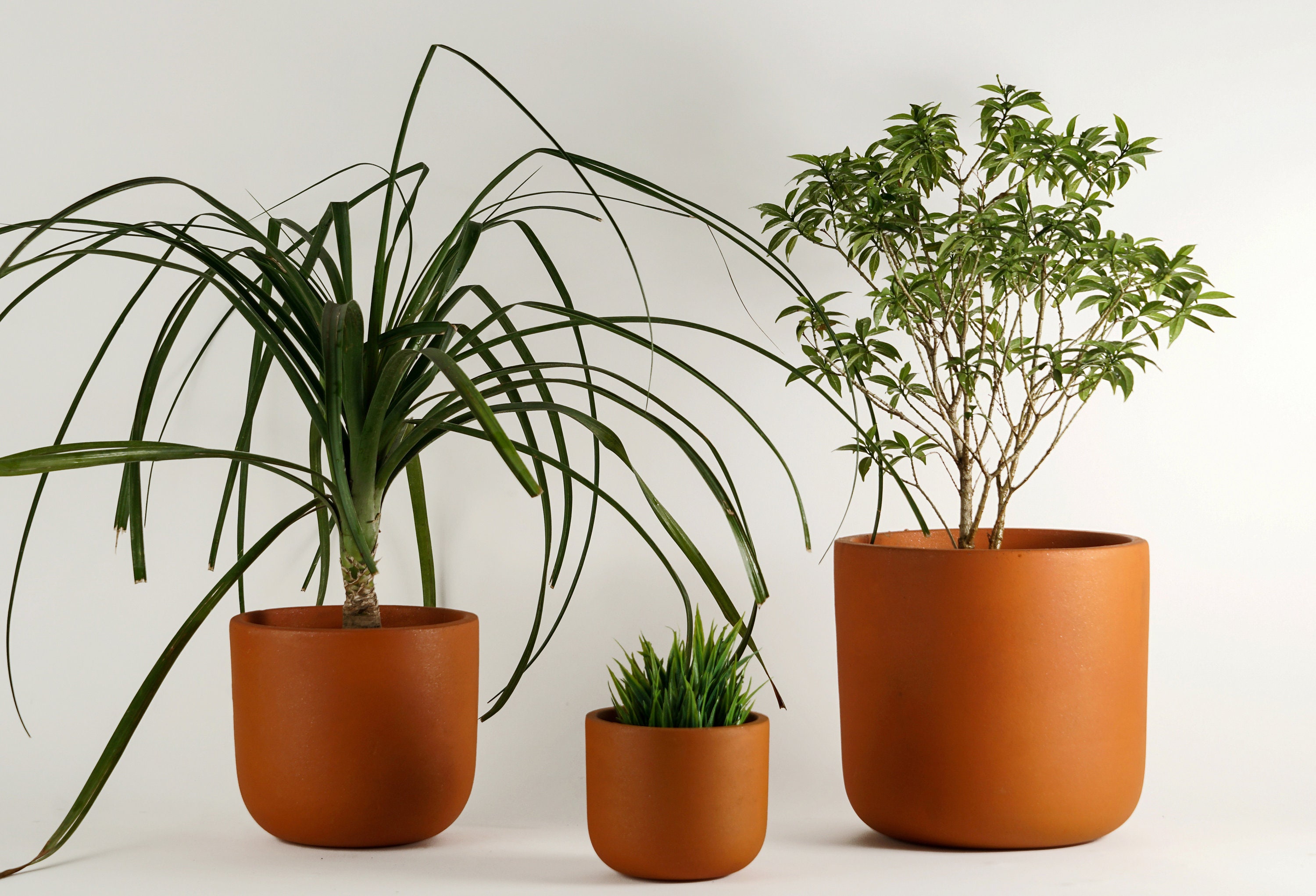Natural Terracotta Clay Pot Planter - Kyna - Etsy