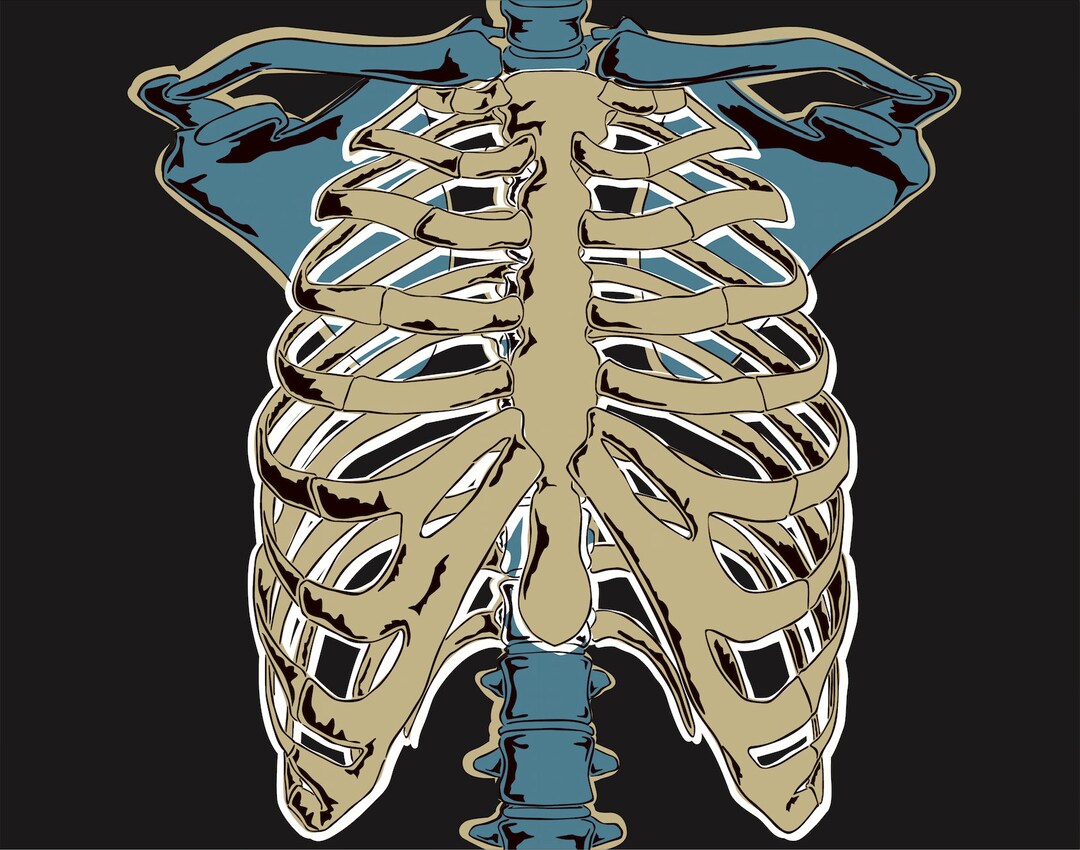 Dark Human Ribs Illustration Print, Home Decor Print - Etsy