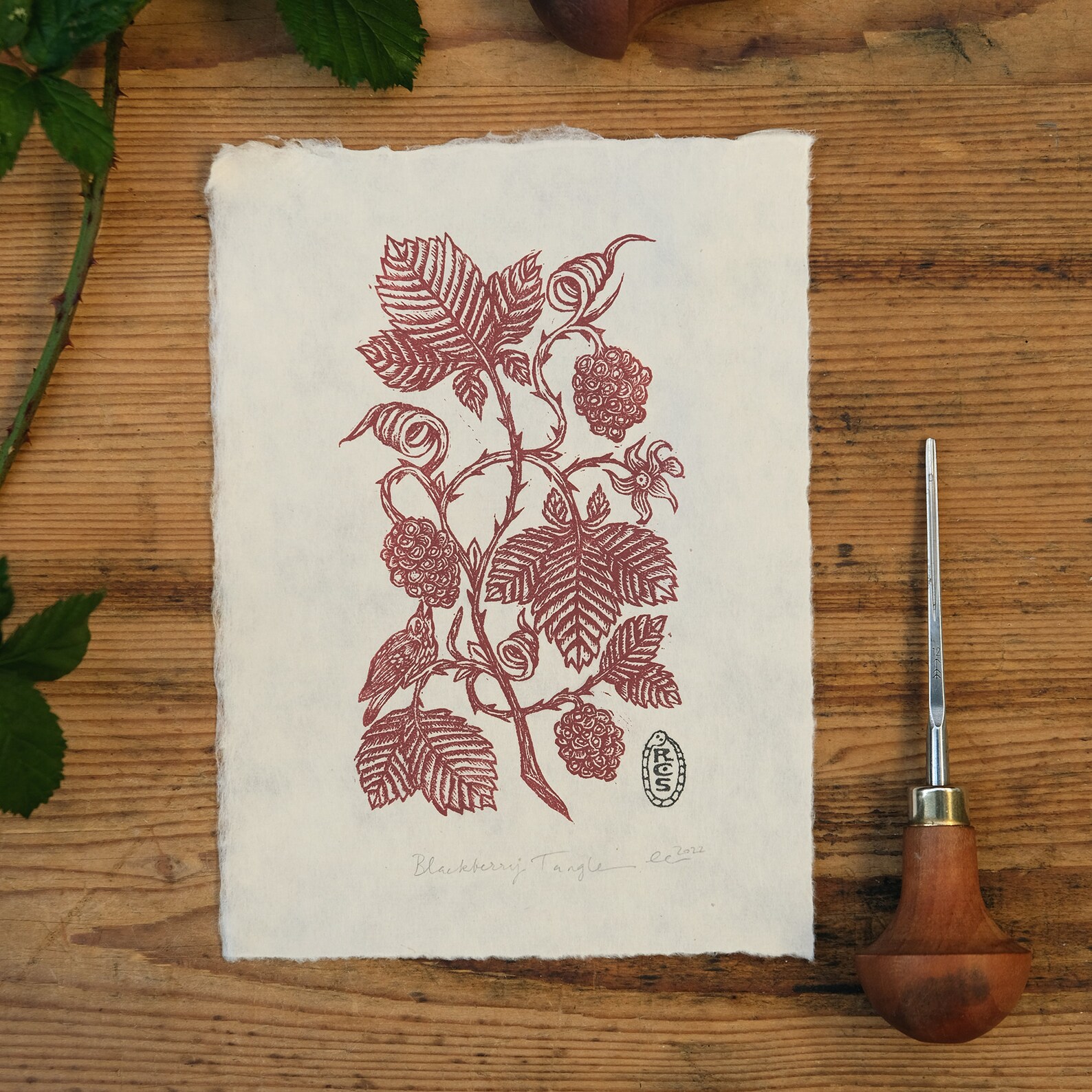 Blackberry Tangle Lino Print, Berries and Bird, Original Botanical ...