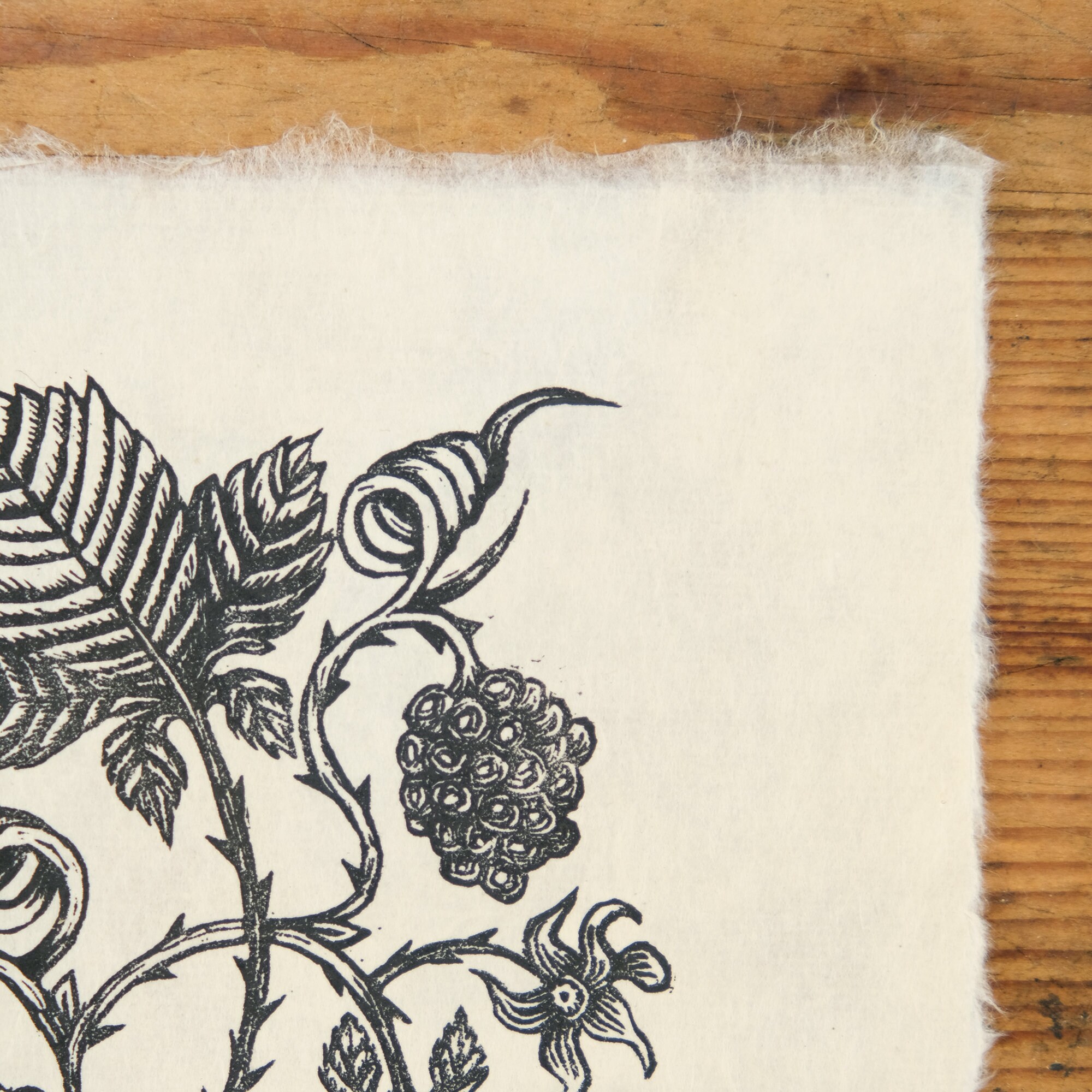 Blackberry Tangle Lino Print, Berries and Bird, Original Botanical ...