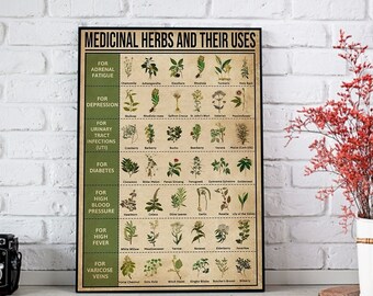 Medicinal Herbs Poster - Etsy