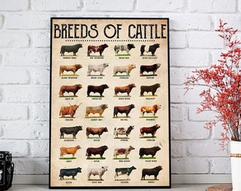 Cattle Breeds Poster - Etsy