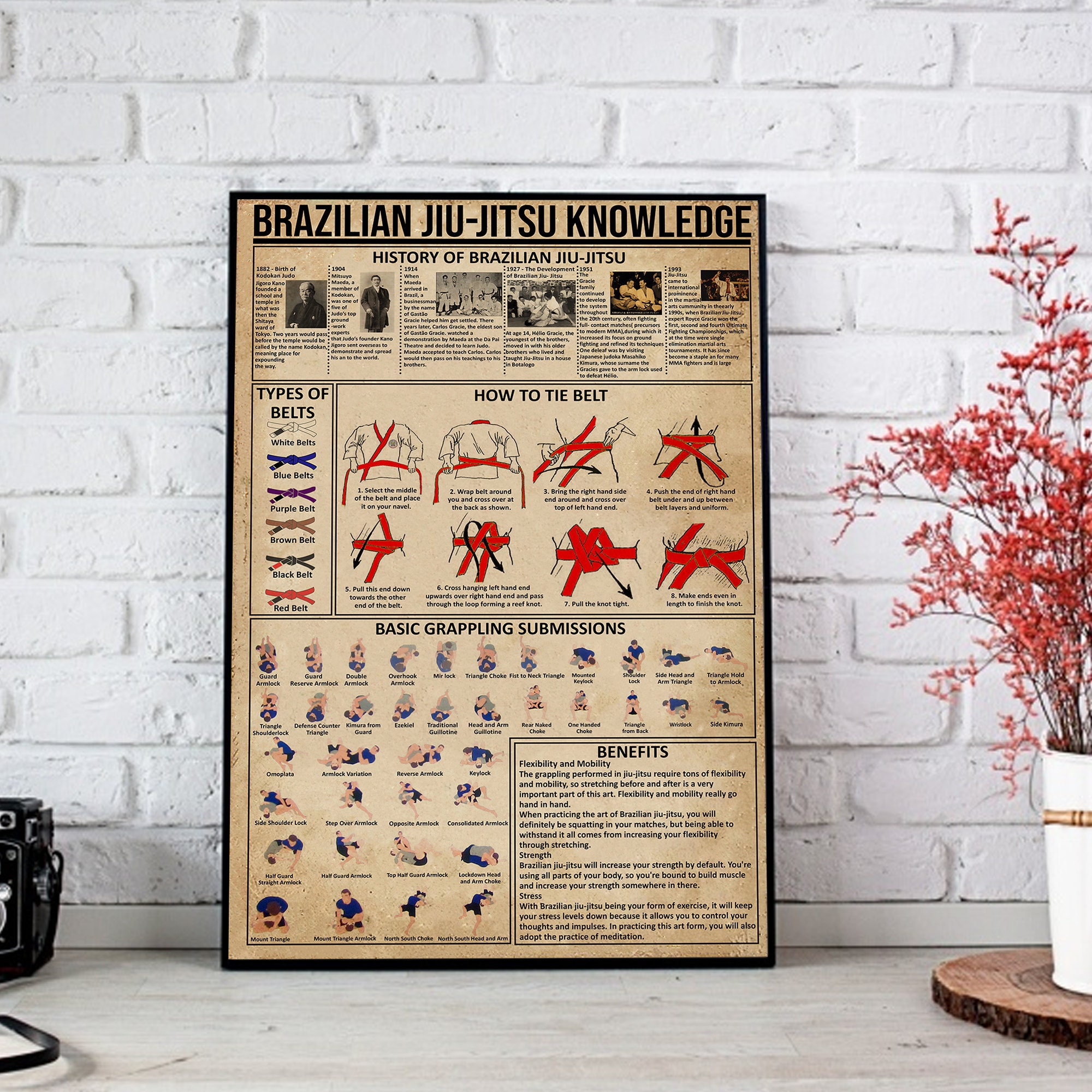 Jiu Jitsu Submissions Poster