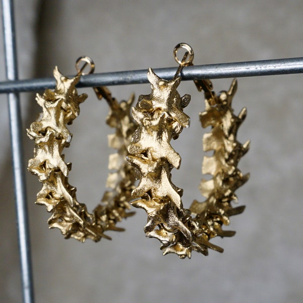 Vertebrae - Etsy