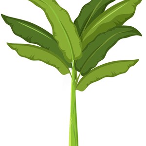 Banana Tree Decal Modern Wall Decals Tree Decals Watercolor Decals ...