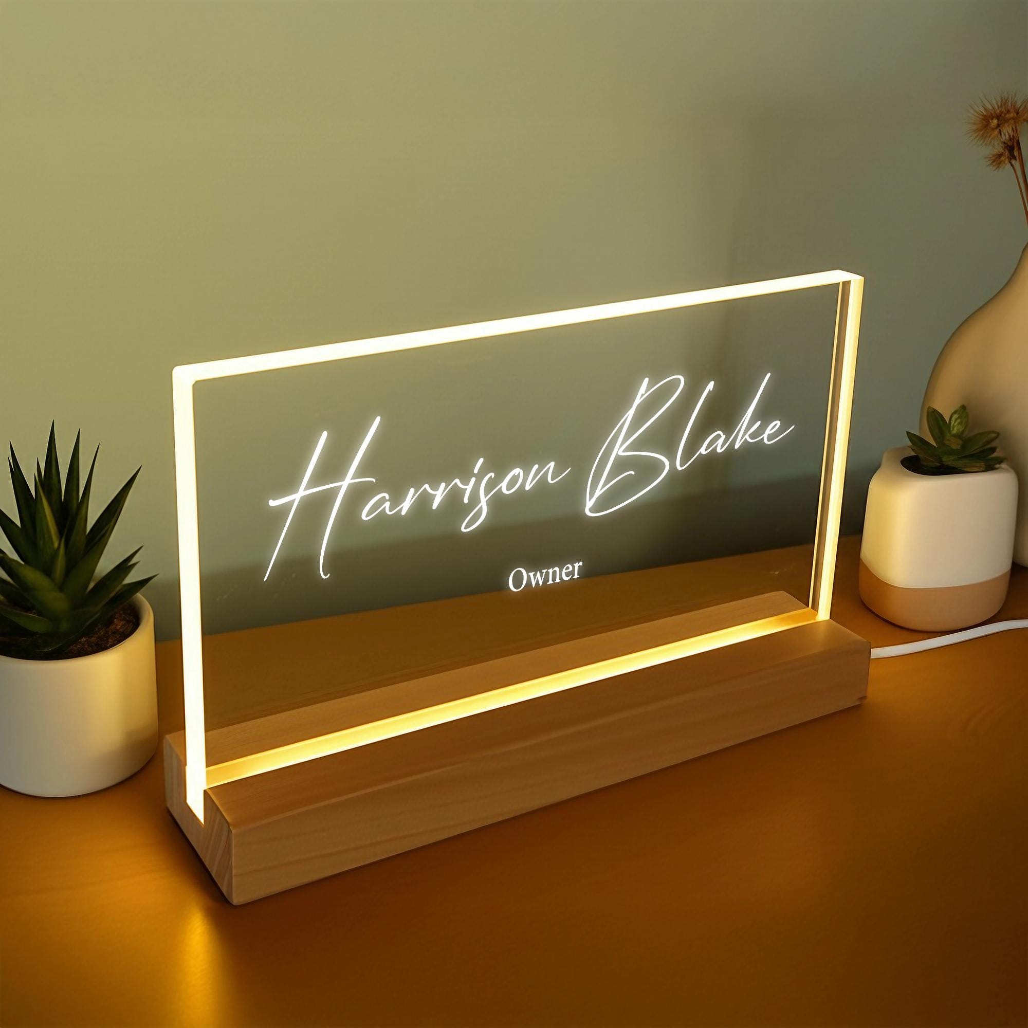 Custom Name Plate Night Light With Job Title, Personalized Office Desk ...