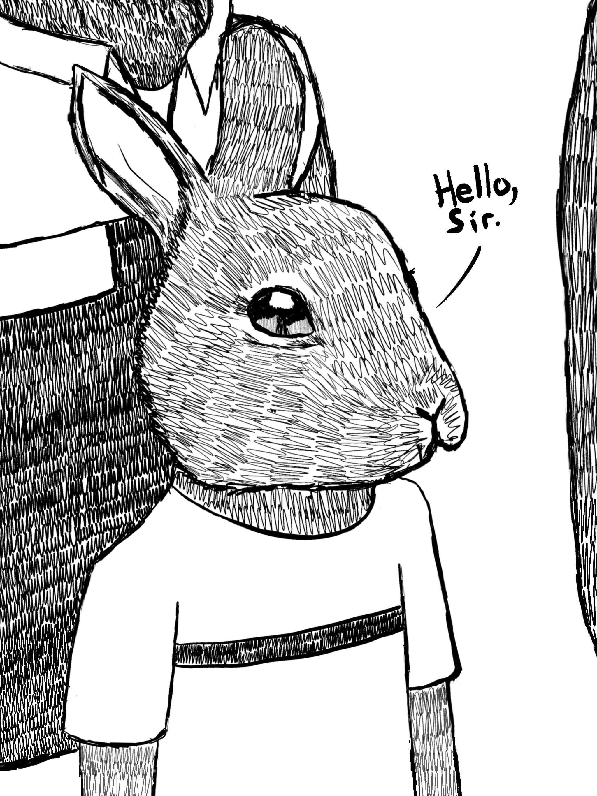 Animals Dressed as Humans Rabbit Bunny Crow Black and - Etsy