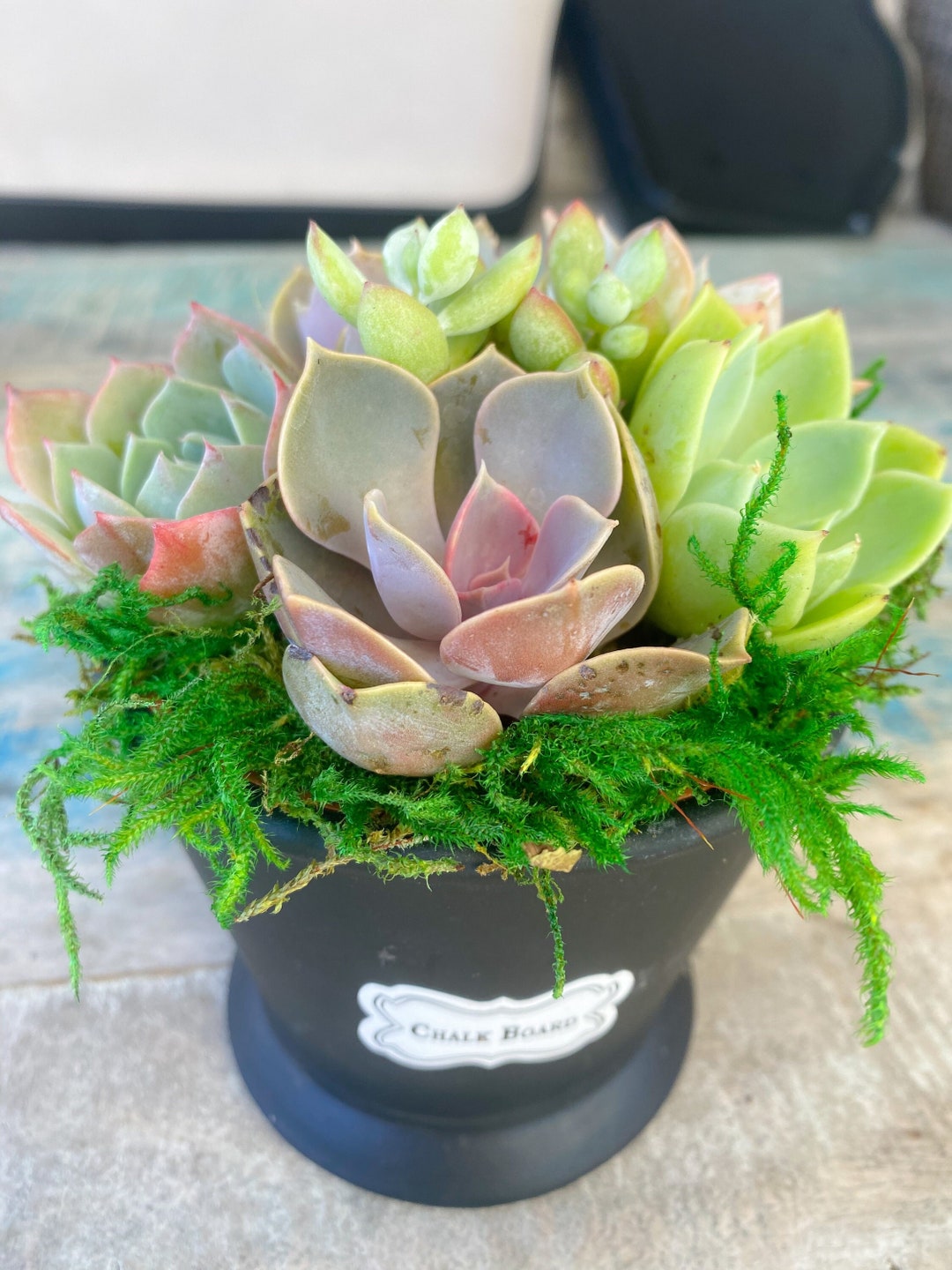 Black Chalk Succulent Arrangement, Table Decor, Birthday Gift, Mother’s ...
