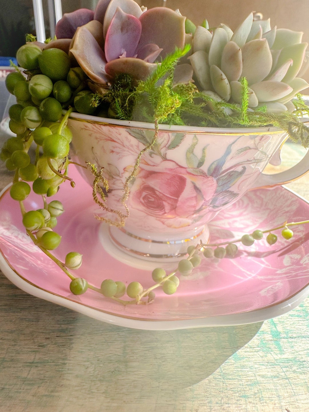 Vintage Style Teacup and Saucer Succulent Arrangement - Etsy