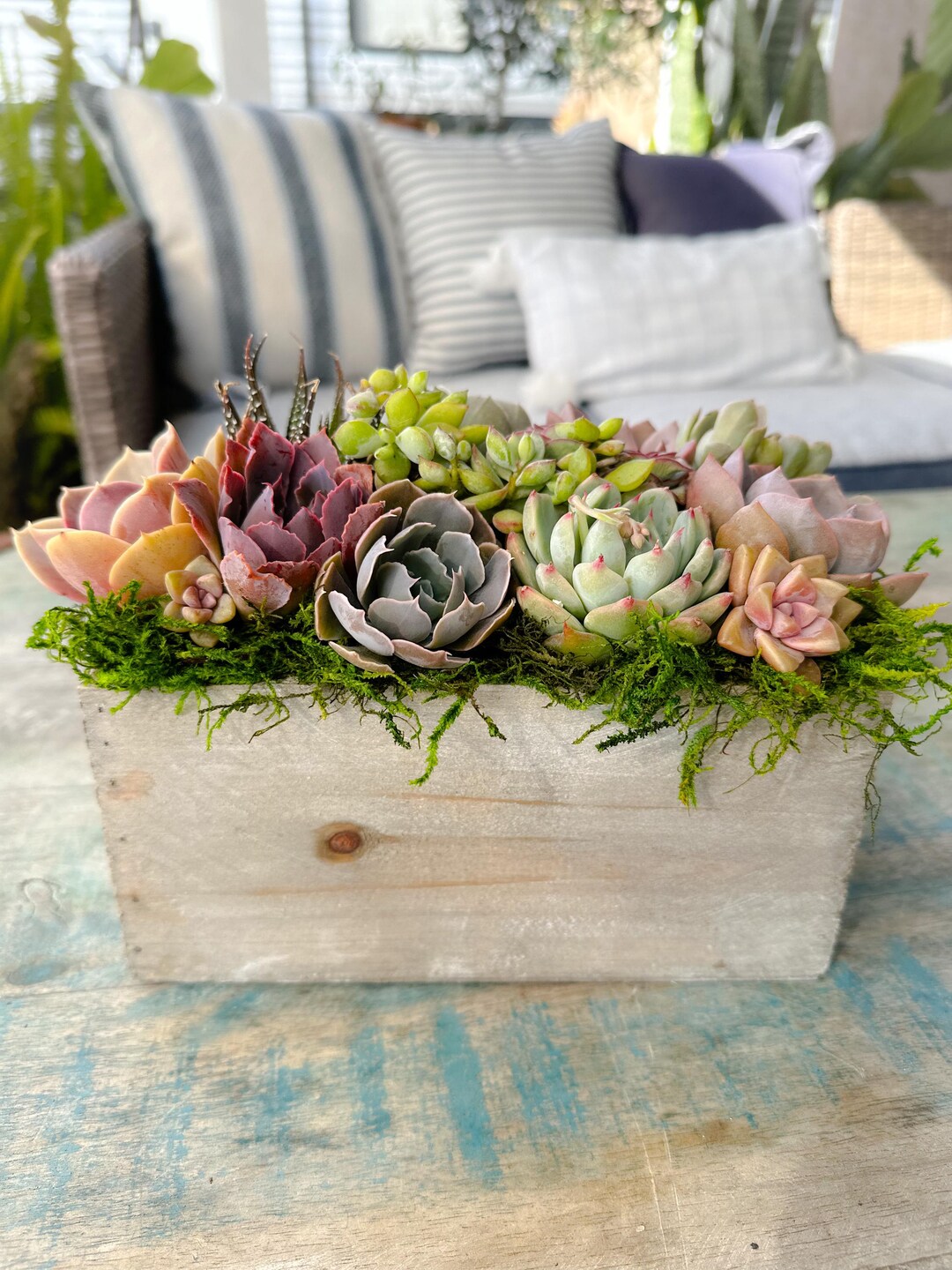 Wood Box Succulent Arrangement, Table Decor, Birthday, Mother’s Day ...