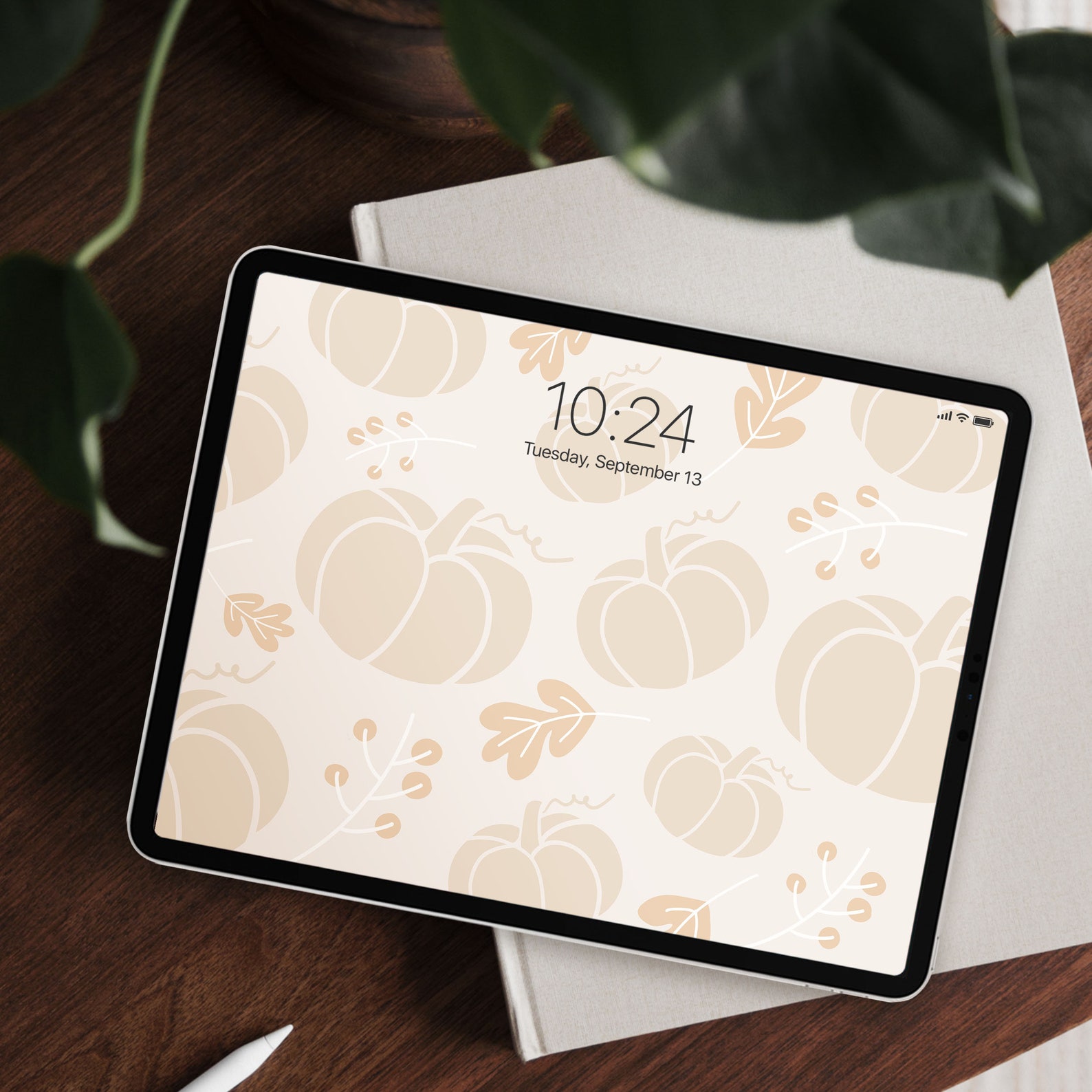 Fall Pumpkin iPad Wallpaper: Minimalist Autumn Tablet Background ...
