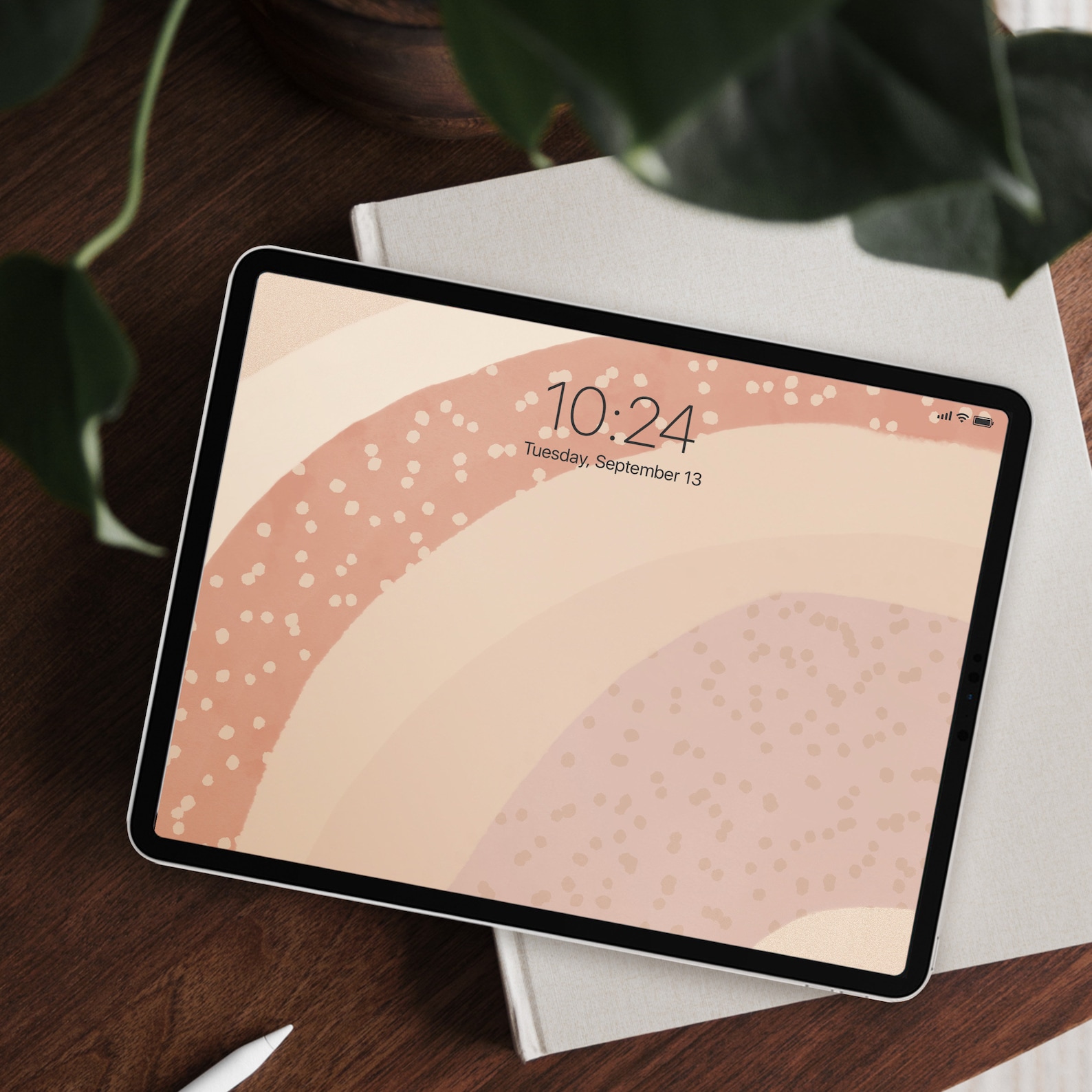 Boho Neutral iPad Wallpaper Rainbow Modern Aesthetic Tablet - Etsy