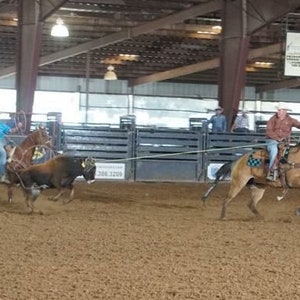 Lariat Cowboy Ropes -lasso-western-farmhouse Decor-rope for Crafts - Etsy