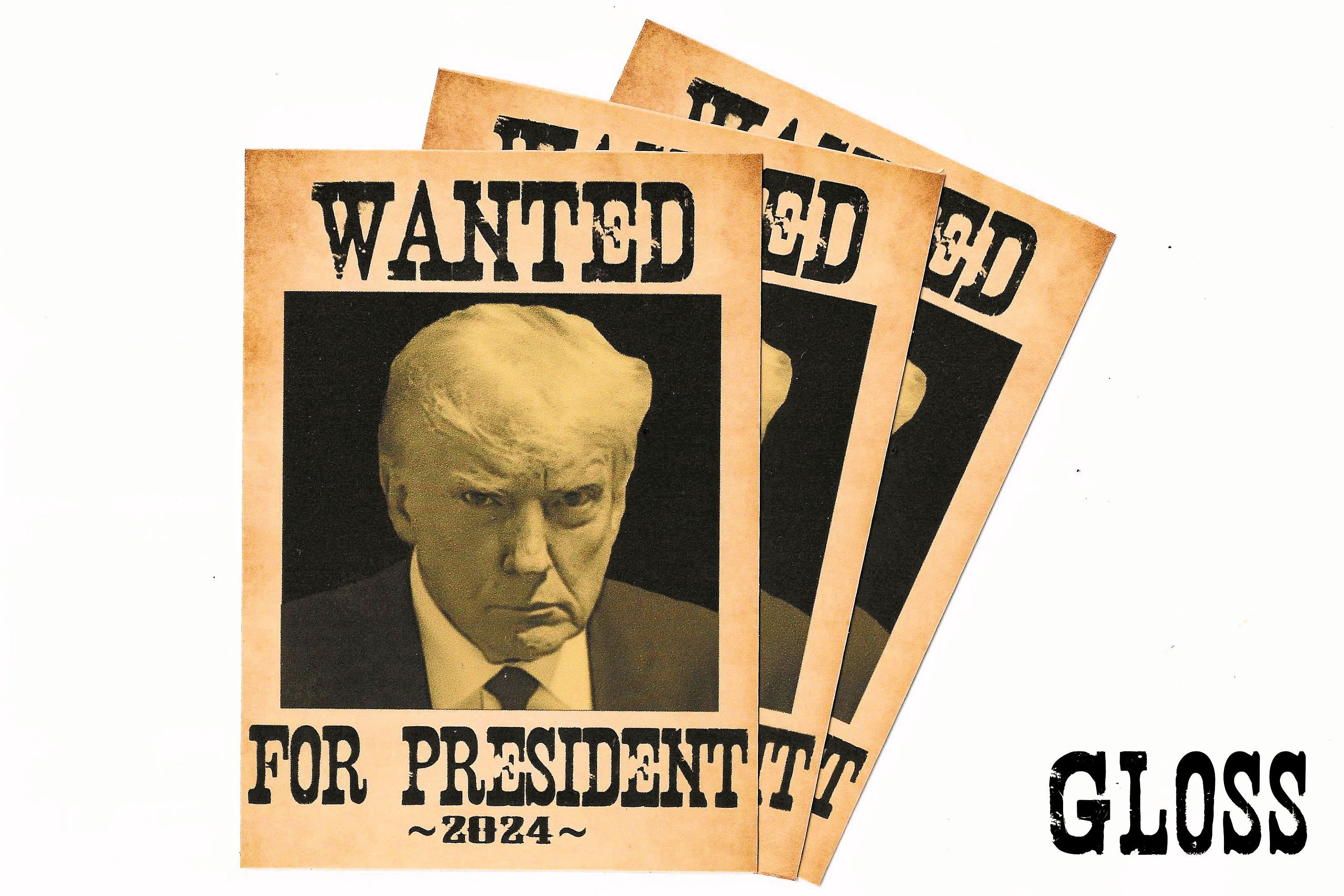 TRUMP 2024 Wanted for President Mug Shot Decal Vinyl 3M™ - Etsy