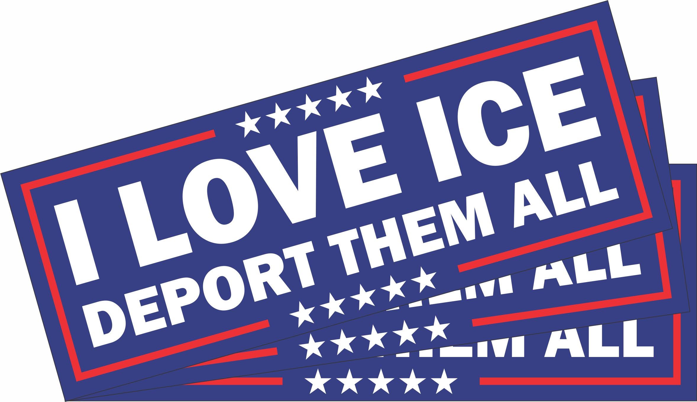 I Support ICE Pro ICE - Vinyl 3M™ Bumper Sticker - **made in USA** - Etsy