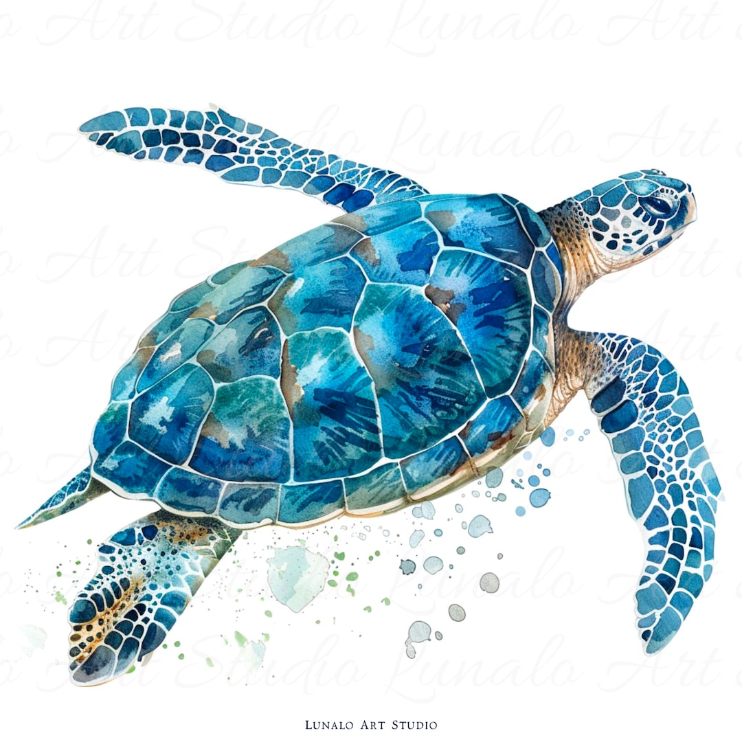 Watercolour Sea Turtle Clipart: Digital Art for Nautical Decor ...